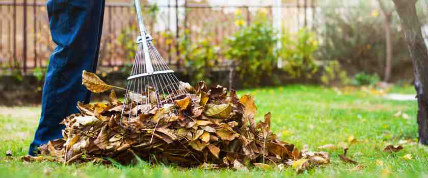 How Fall Leaves Negatively Affect Your AC Unit | Ronald Smith HVAC