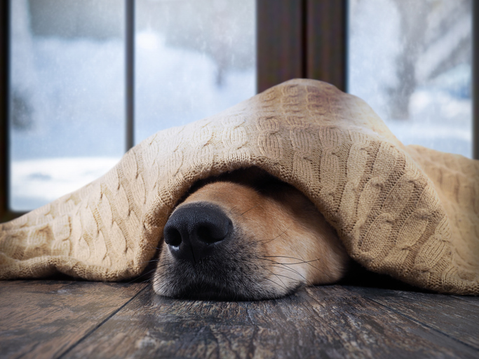 The Importance of Timely Furnace Repair